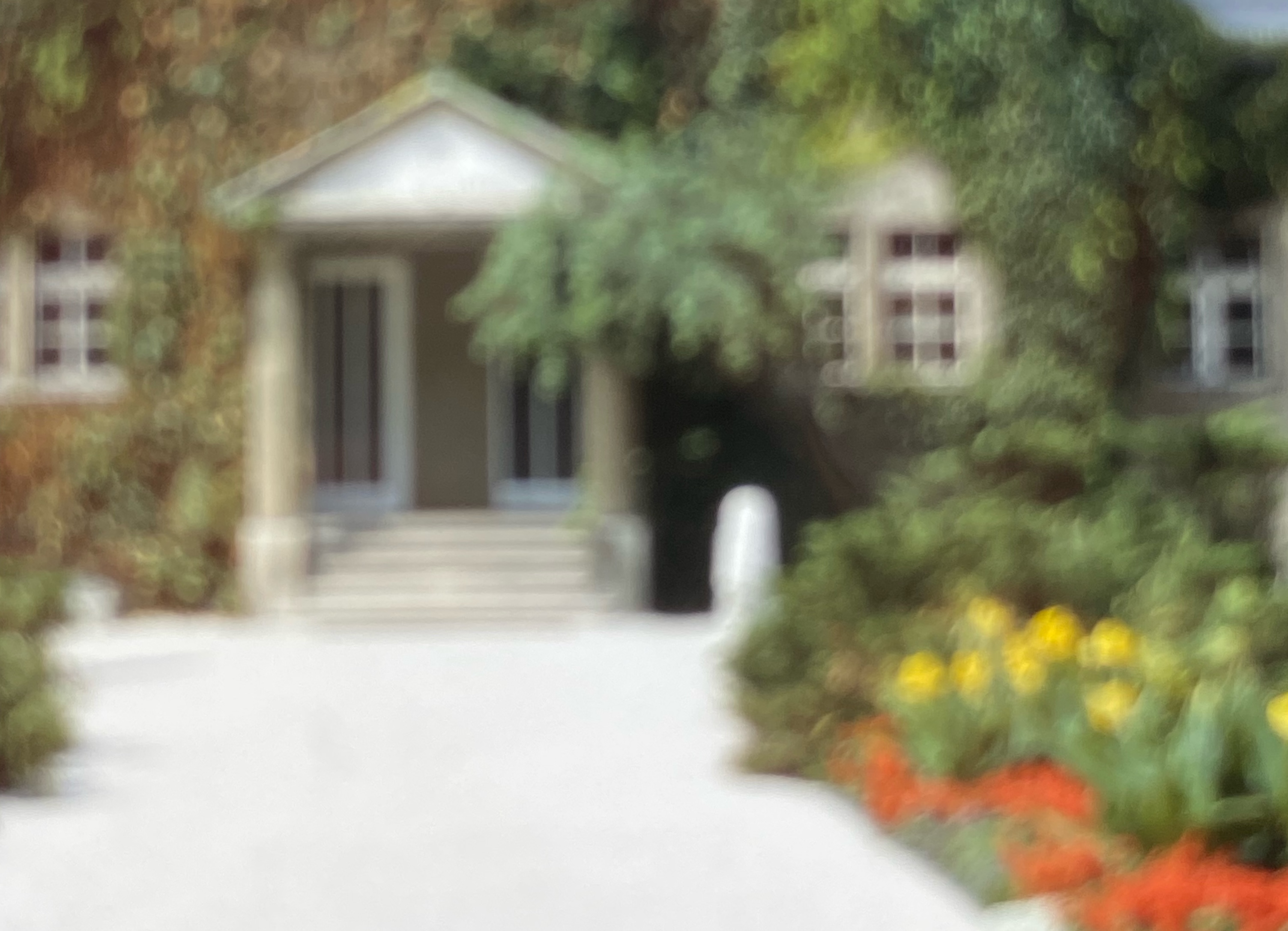 Wo ich wohne · HAUS AM WALDSEE